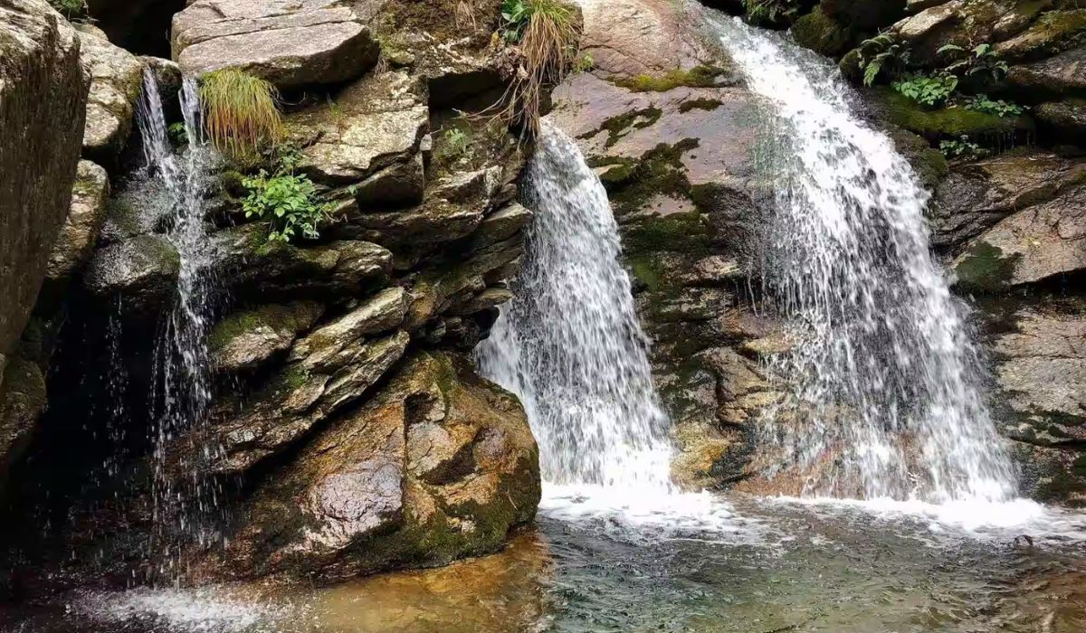 Trekking in Bir Billing: 17 Must-Do Trails To Explore
